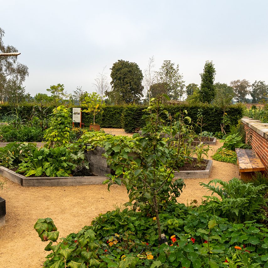 RHS Community Grow Garden - Wright Landscapes