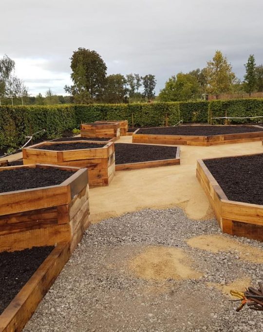 RHS Community Grow Garden - Wright Landscapes